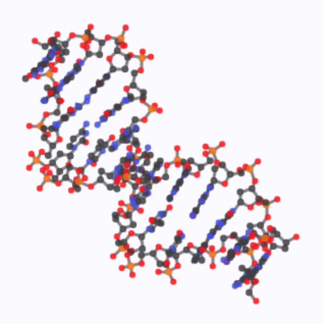 Bioinformatics — Peter Collingridge